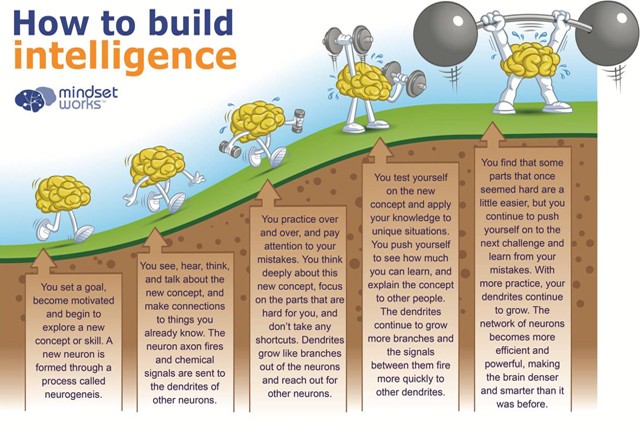 How To Grow Your Intelligence Graphic - Growth Mindset Blog & Newsletter